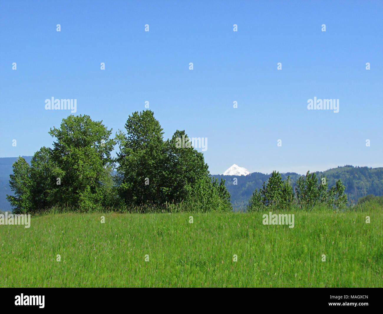 Steigerwald Lake NWR in WA Stock Photo - Alamy