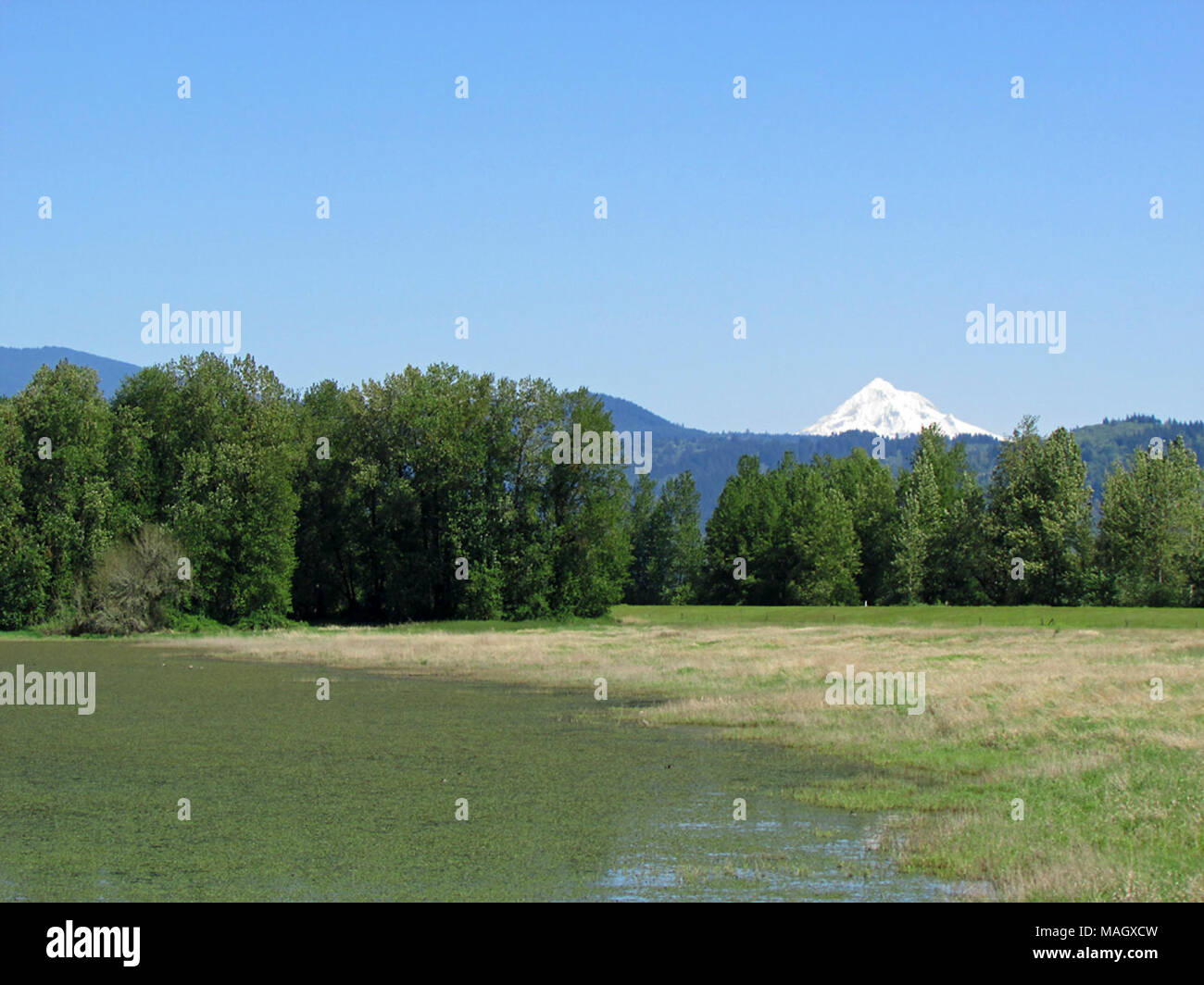 Steigerwald wildlife refuge hi-res stock photography and images - Alamy