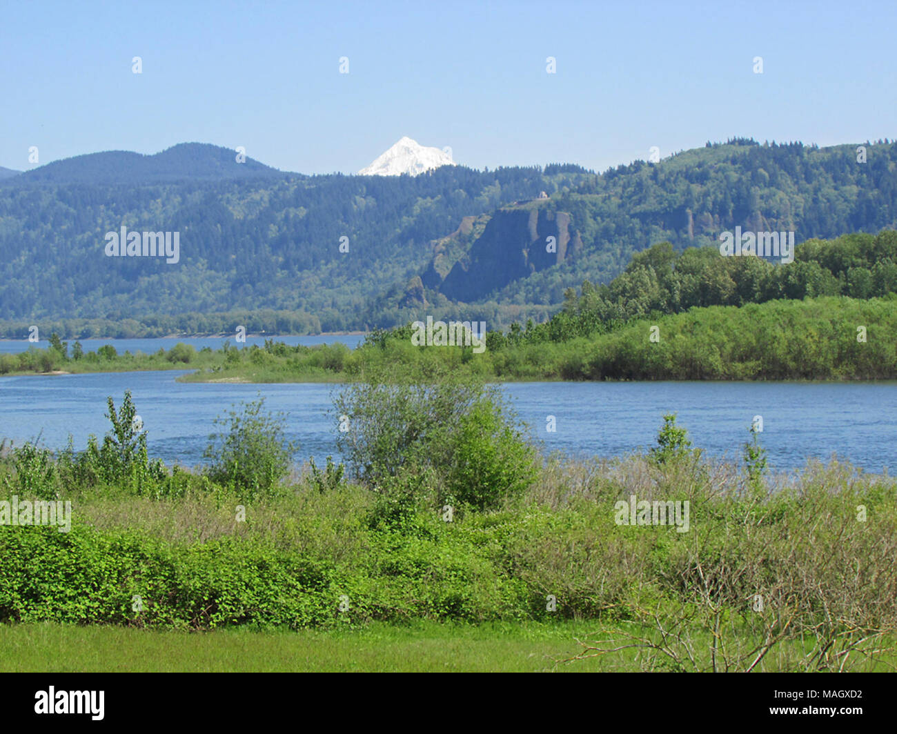 Steigerwald Lake NWR in WA Stock Photo - Alamy