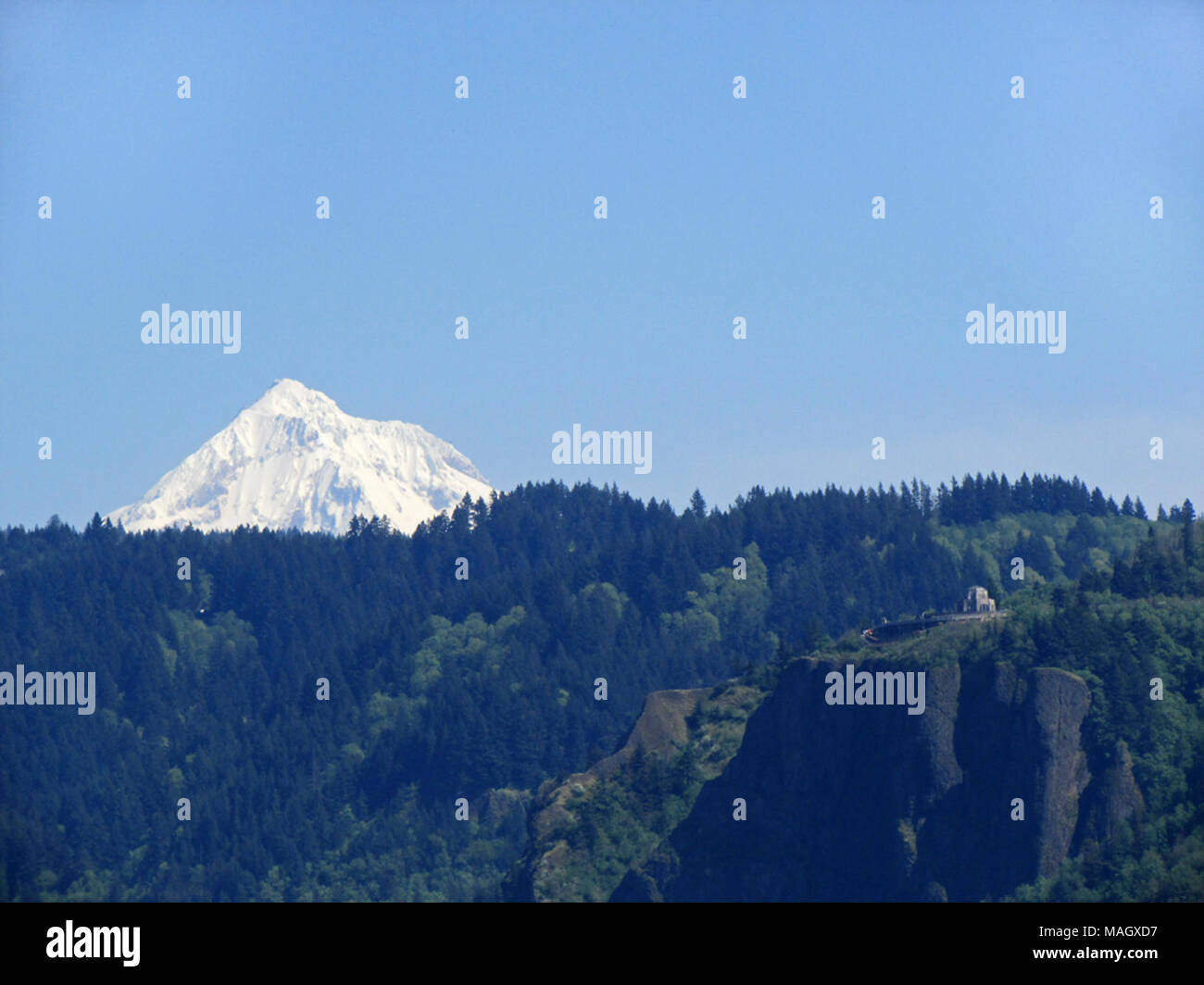 Steigerwald Lake NWR in WA Stock Photo - Alamy