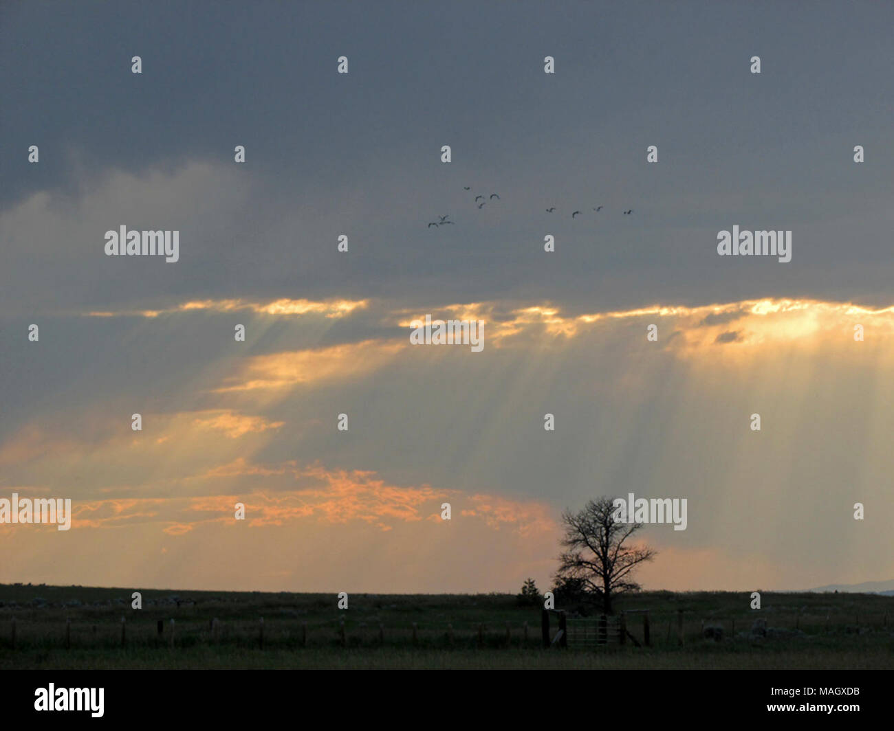 Sunset in MT Stock Photo - Alamy