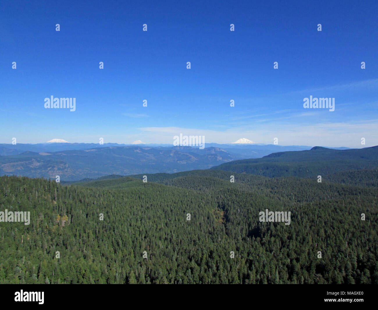 View from Larch Mountain at Columbia River Gorge in OR Stock Photo - Alamy