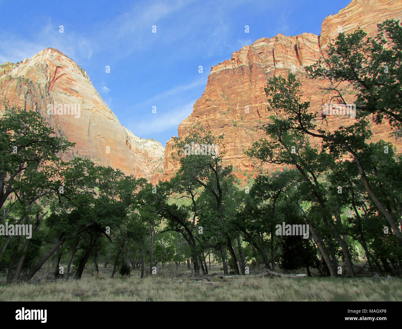 Zion NP in UT Stock Photo - Alamy