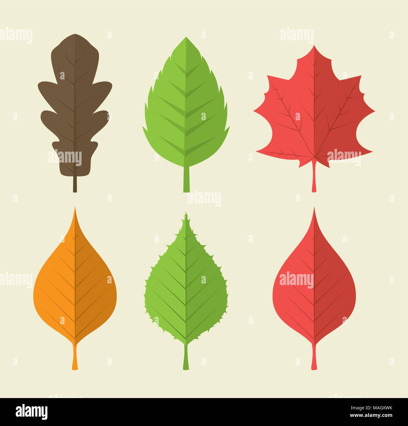 nature and leaves design, vector illustration graphic design Stock ...