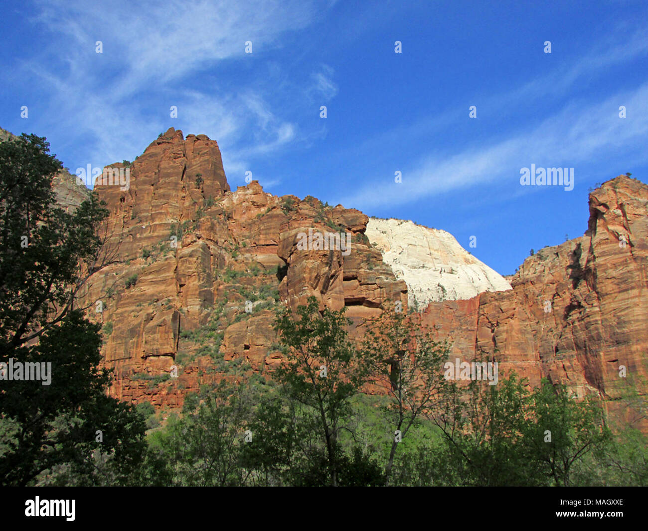 Zion wildlife habitat hi-res stock photography and images - Alamy