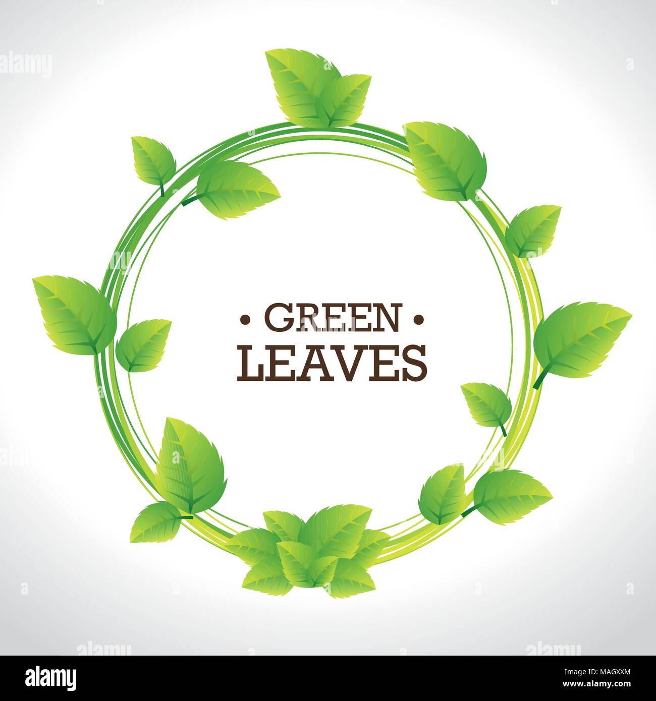 nature and leaves design, vector illustration graphic design Stock ...