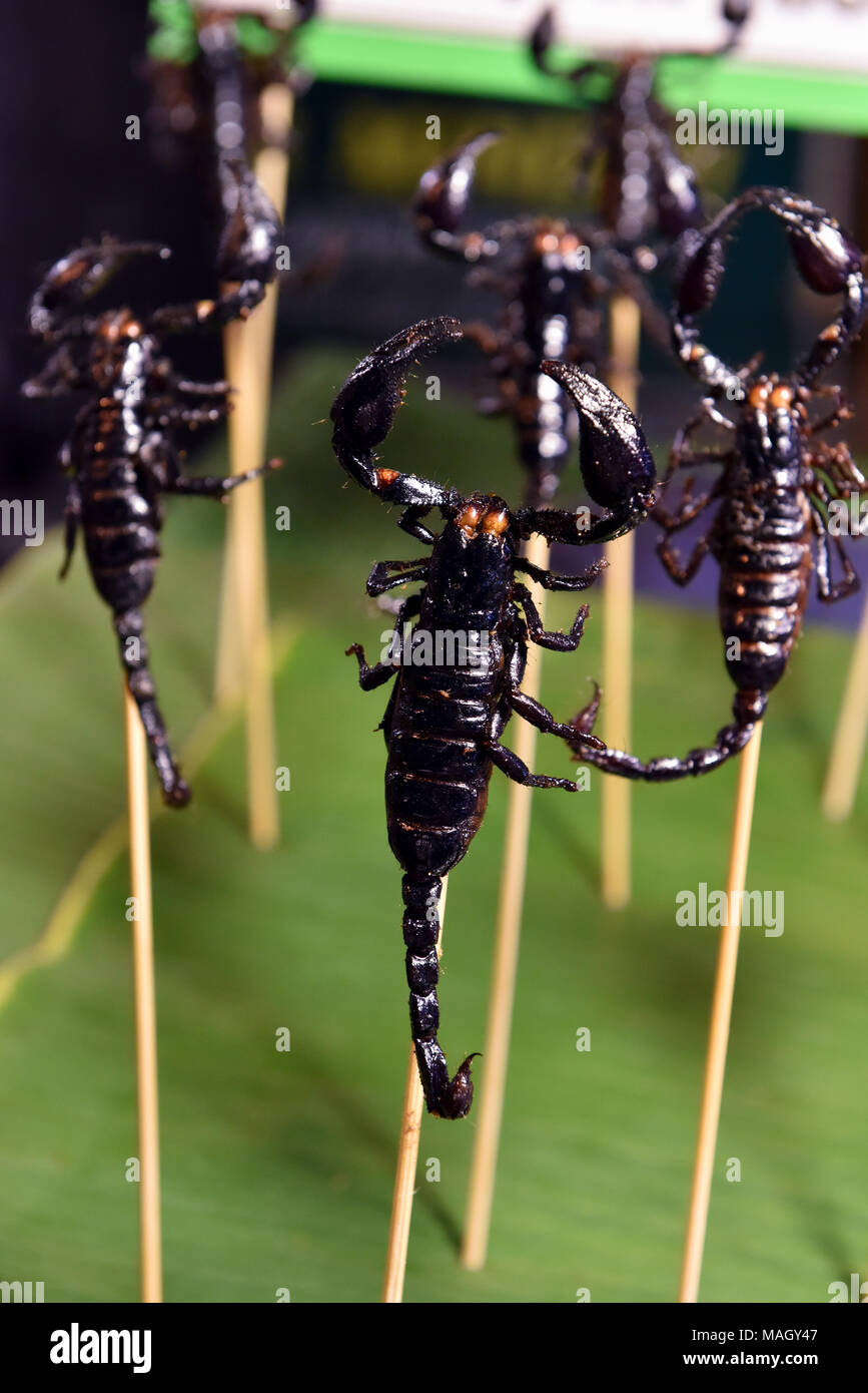 Scorpios hi-res stock photography and images - Alamy