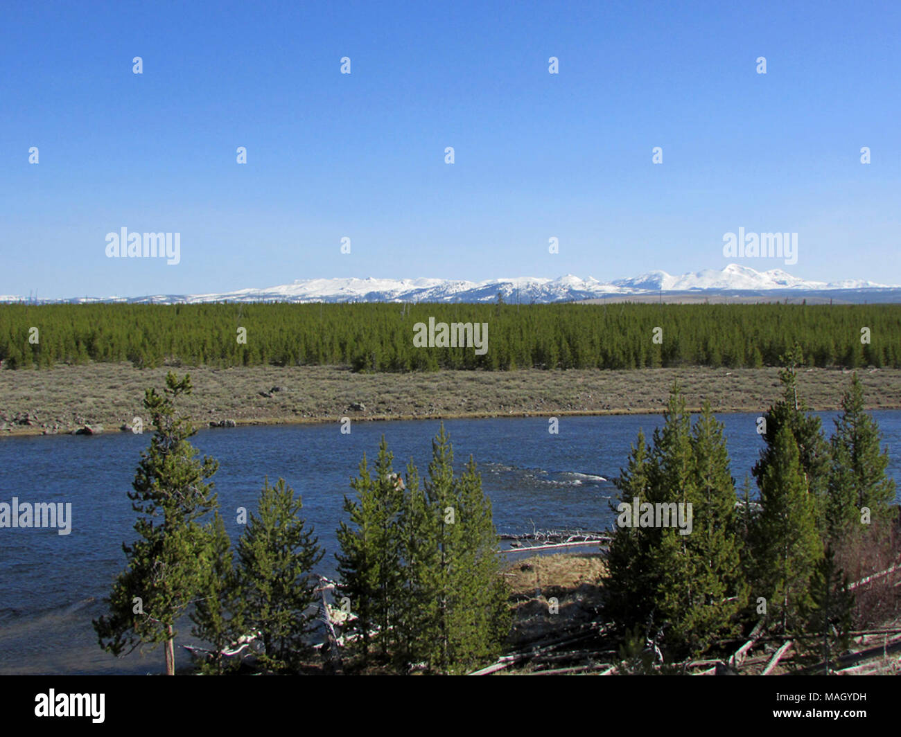 Yellowstone NP in WY Stock Photo - Alamy