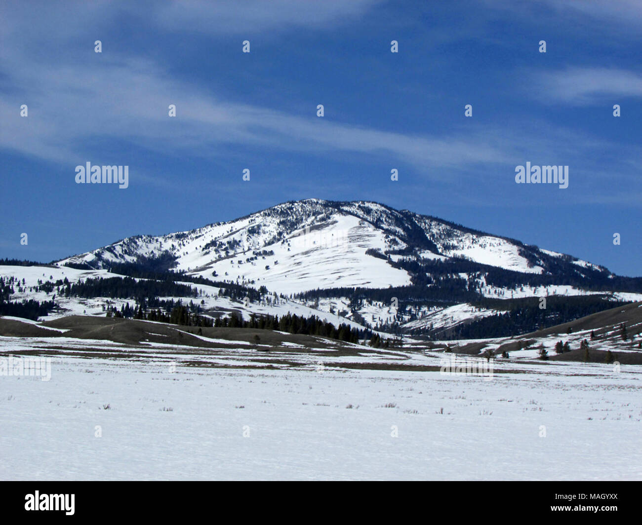 Yellowstone NP in WY Stock Photo - Alamy
