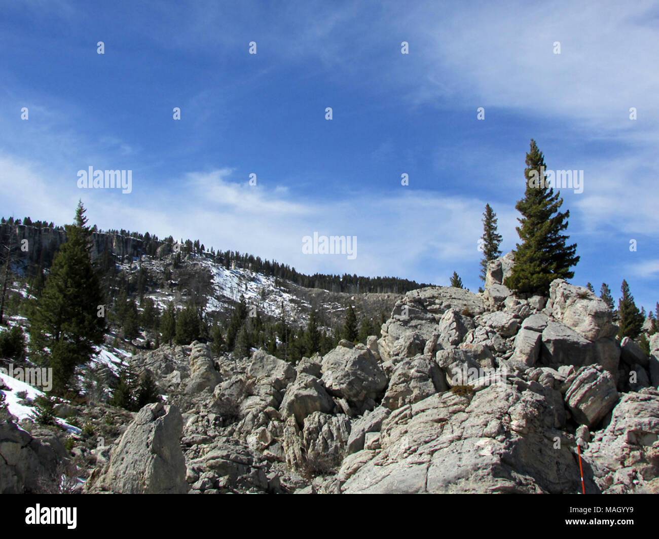Yellowstone NP in WY Stock Photo - Alamy