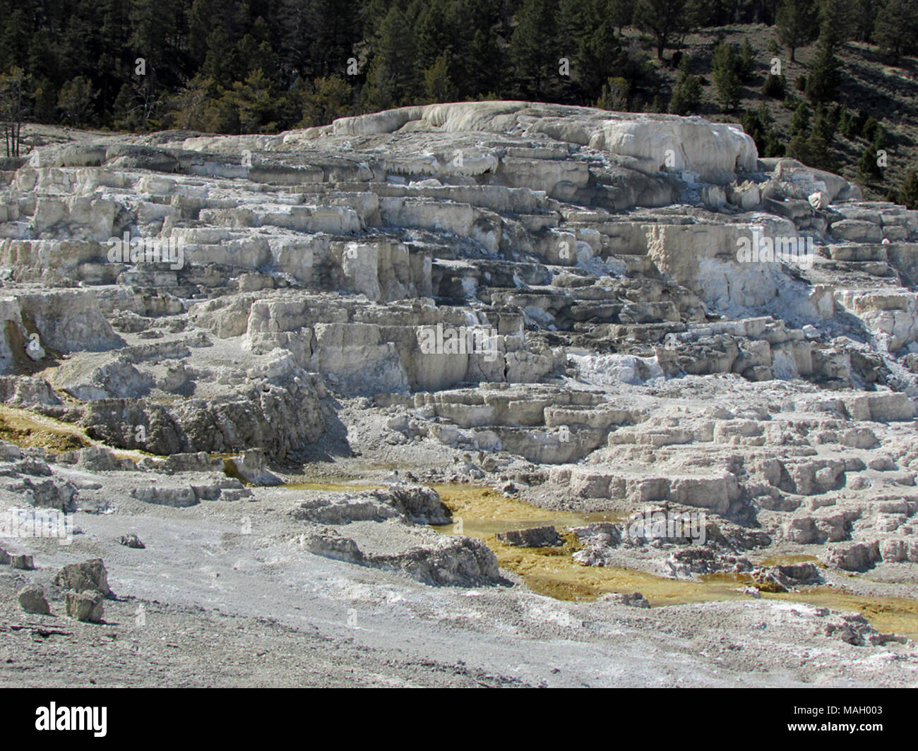 Yellowstone NP in WY Stock Photo - Alamy