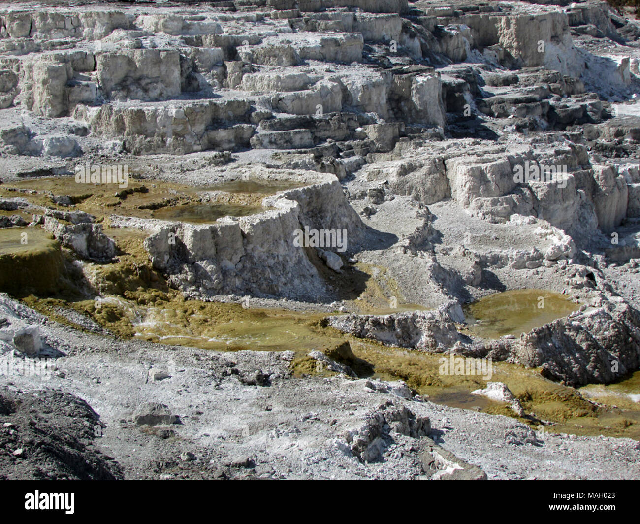 Yellowstone NP in WY Stock Photo - Alamy
