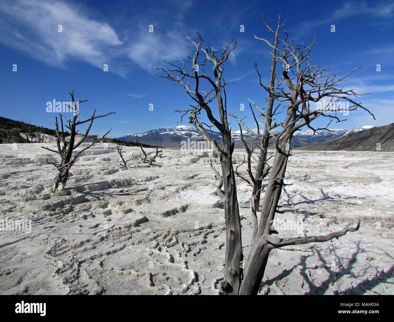 Yellowstone NP in WY Stock Photo - Alamy