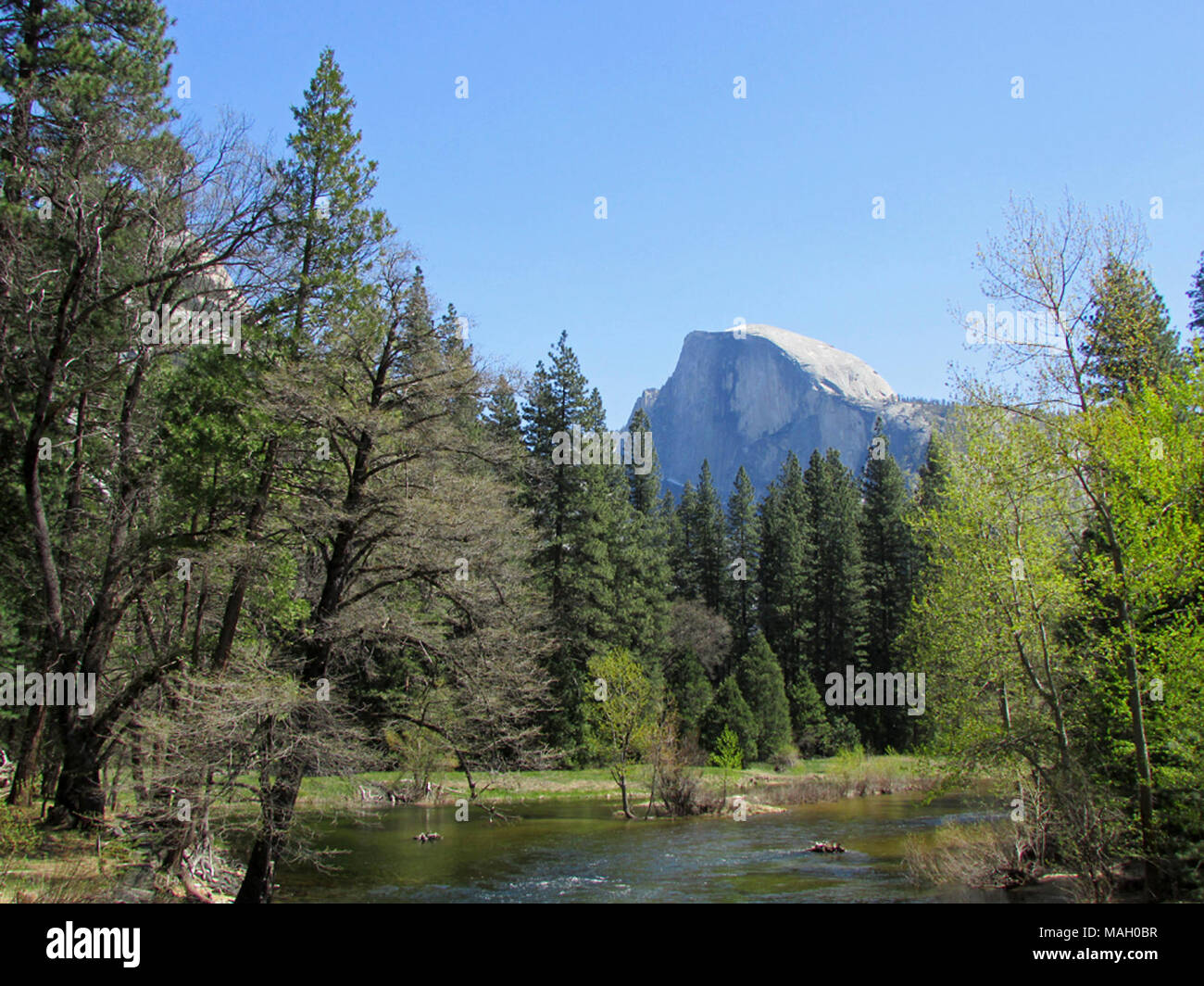 Half Dome at Yosemite NP in CA Stock Photo - Alamy