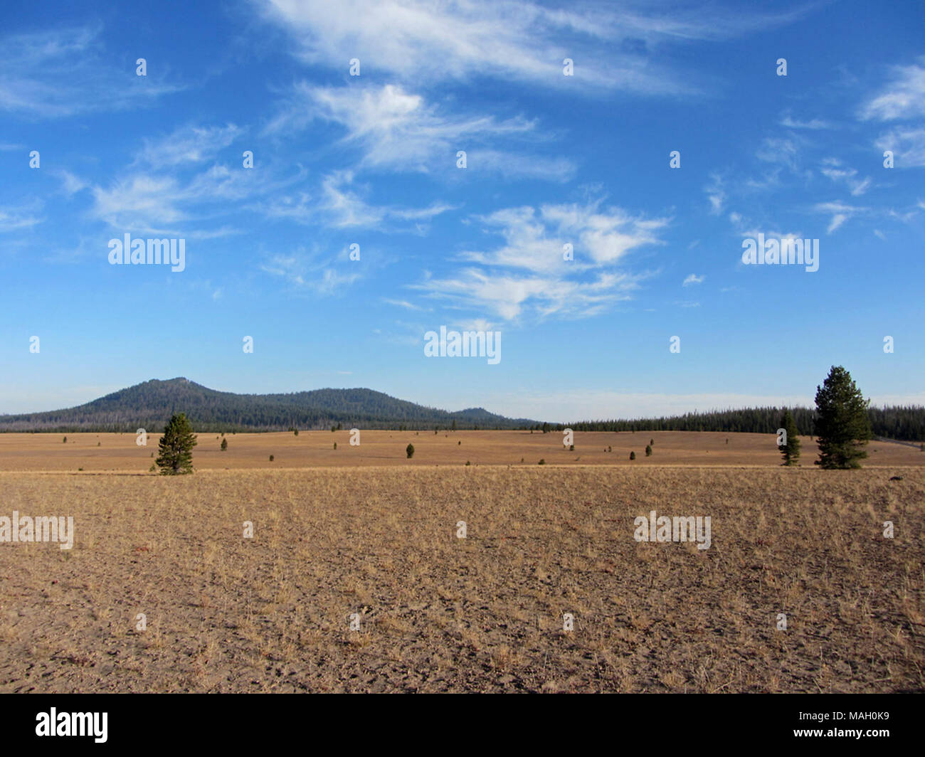Pumice Desert at Crater Lake NP in OR Stock Photo - Alamy