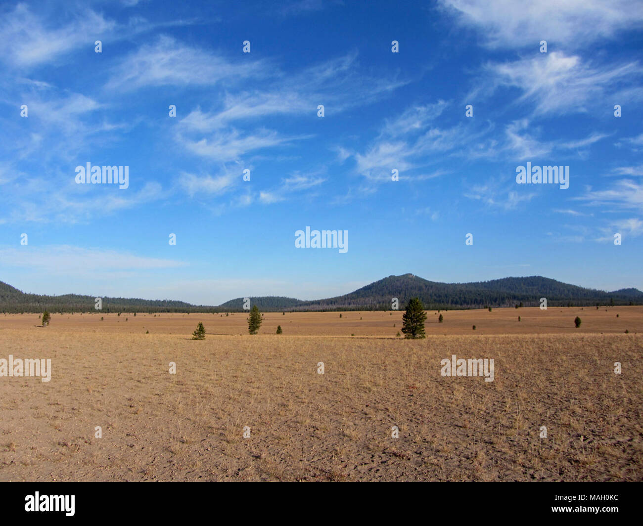 Pumice Desert at Crater Lake NP in OR Stock Photo - Alamy