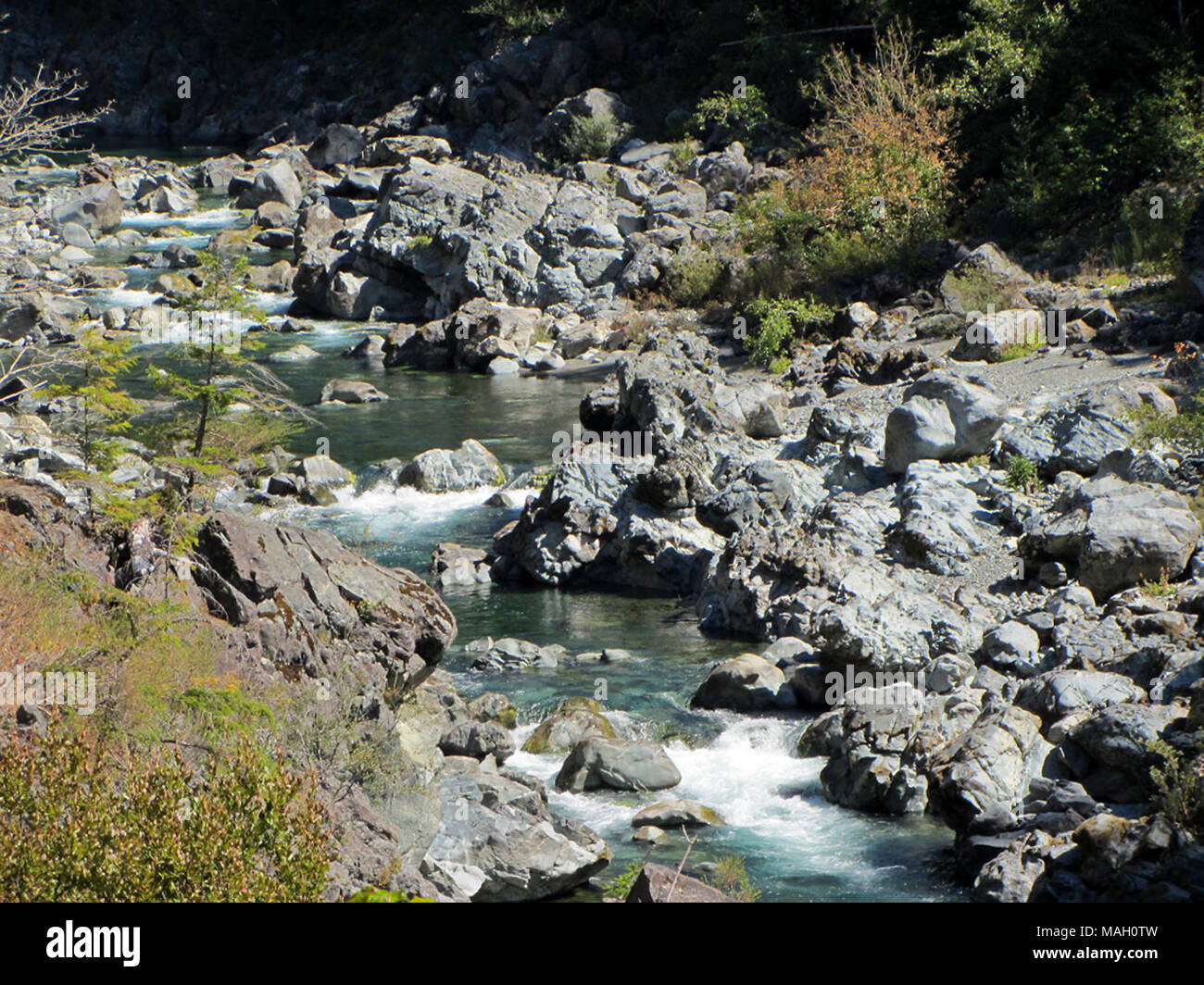 Rogue river oregon wildlife hi-res stock photography and images - Alamy