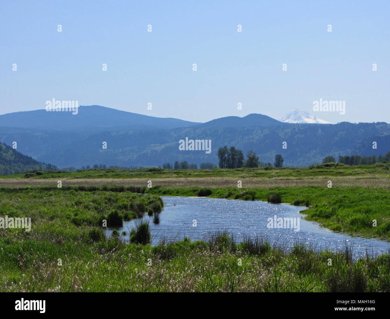 Steigerwald Lake NWR in WA Stock Photo - Alamy