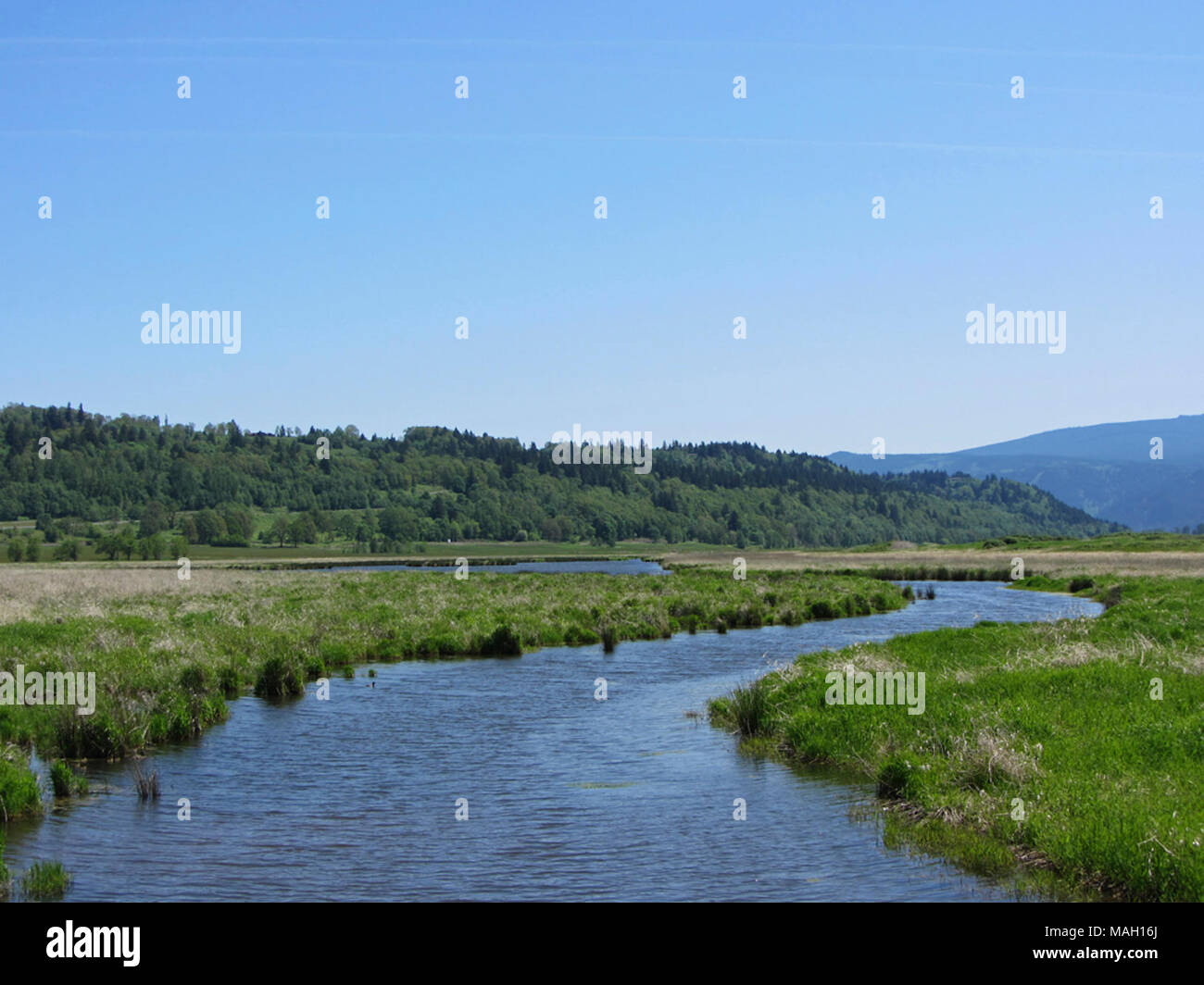 Steigerwald Lake NWR in WA Stock Photo - Alamy