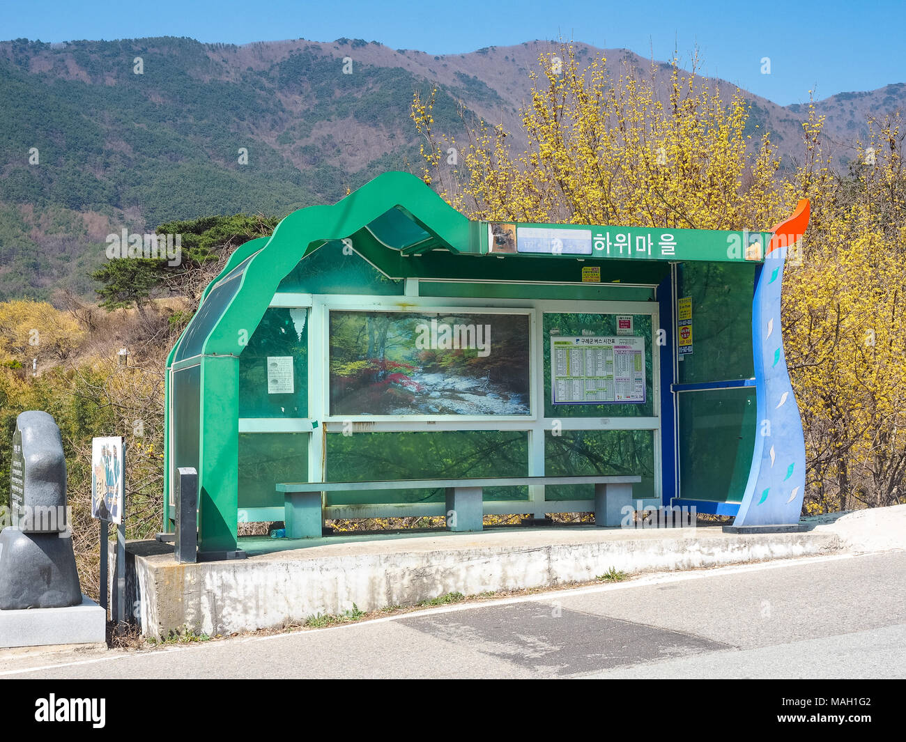 Gurye, South Korea - March 26, 2018 : Scenery of Cornus officinalis ...