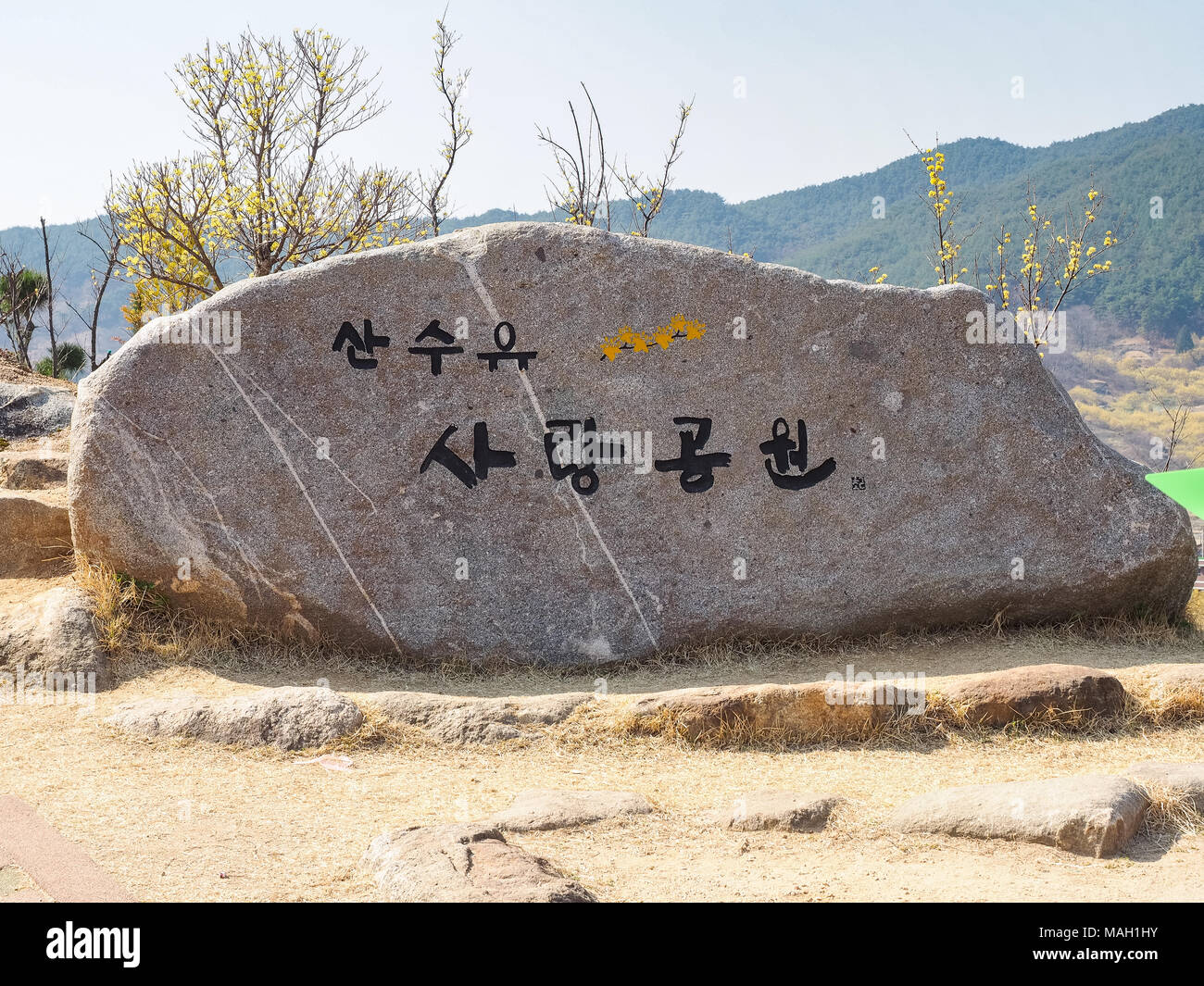Gurye, South Korea - March 26, 2018 : Sign of Sansuyu love theme park ...