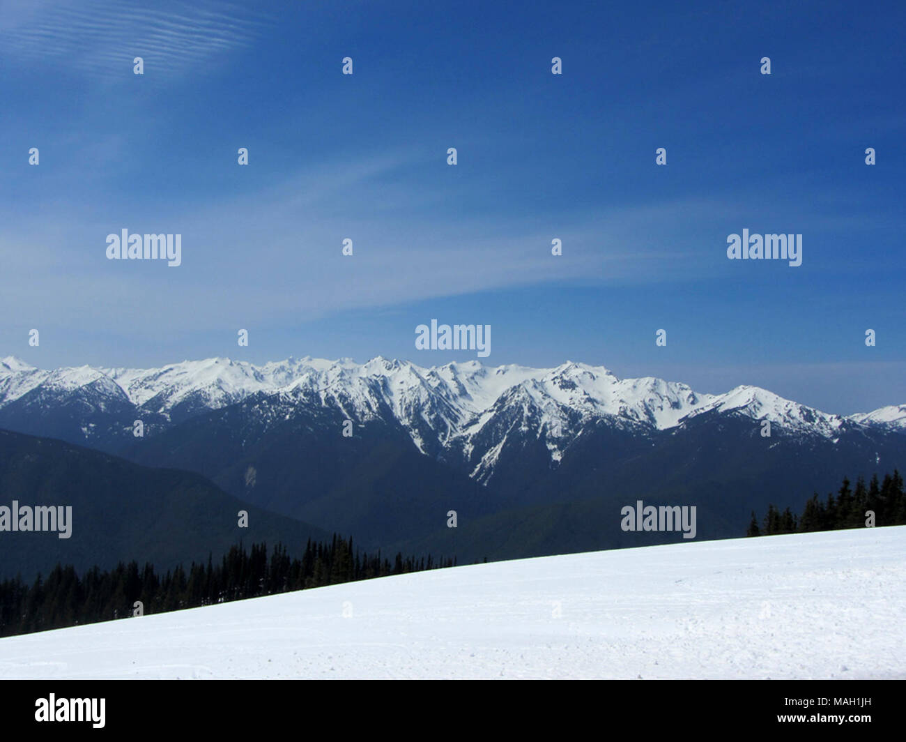 Hurricane Ridge at Olympic NP in WA Stock Photo - Alamy