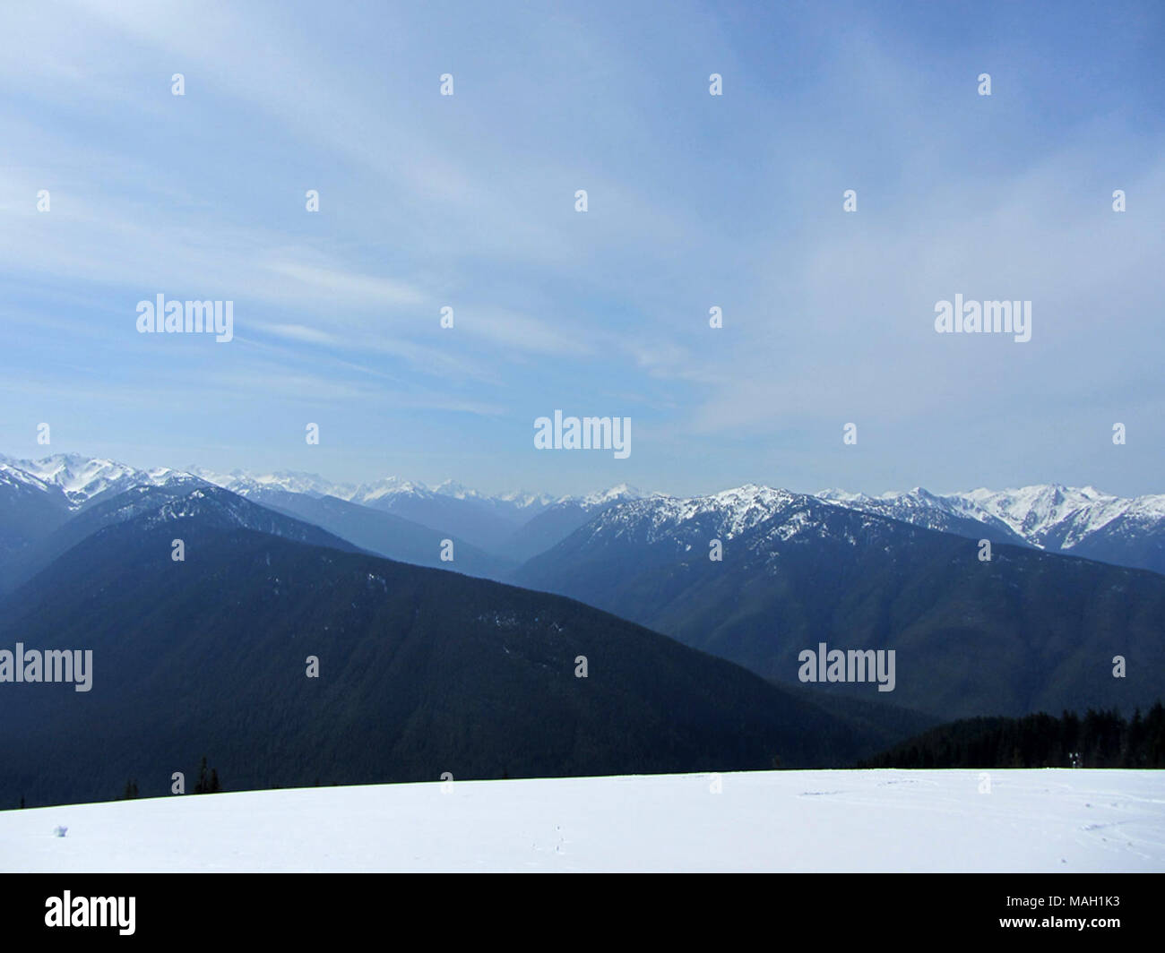 Hurricane Ridge at Olympic NP in WA Stock Photo - Alamy