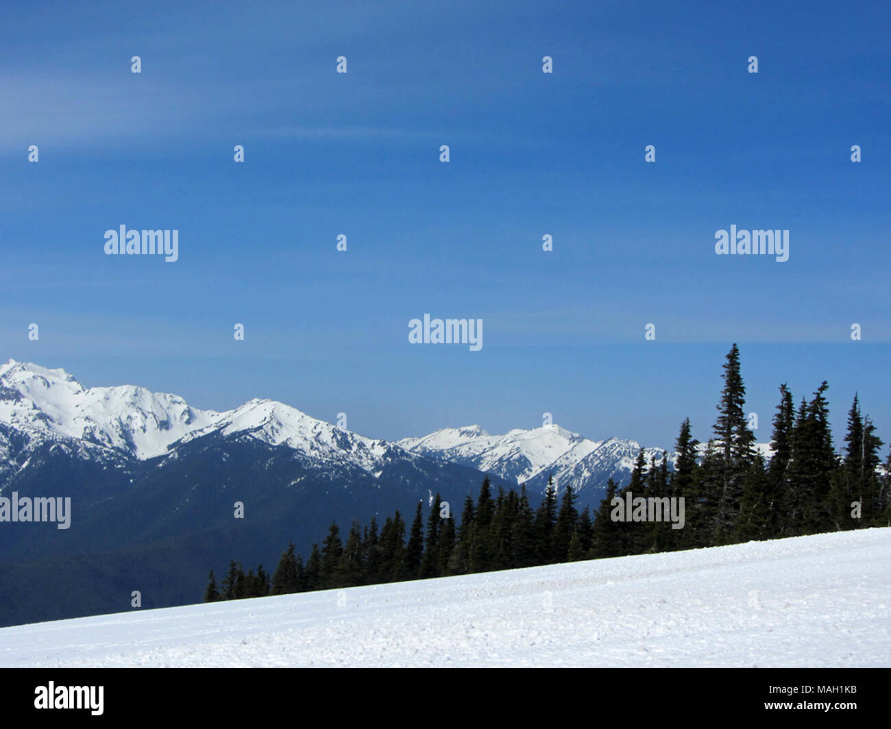 Hurricane Ridge at Olympic NP in WA Stock Photo - Alamy