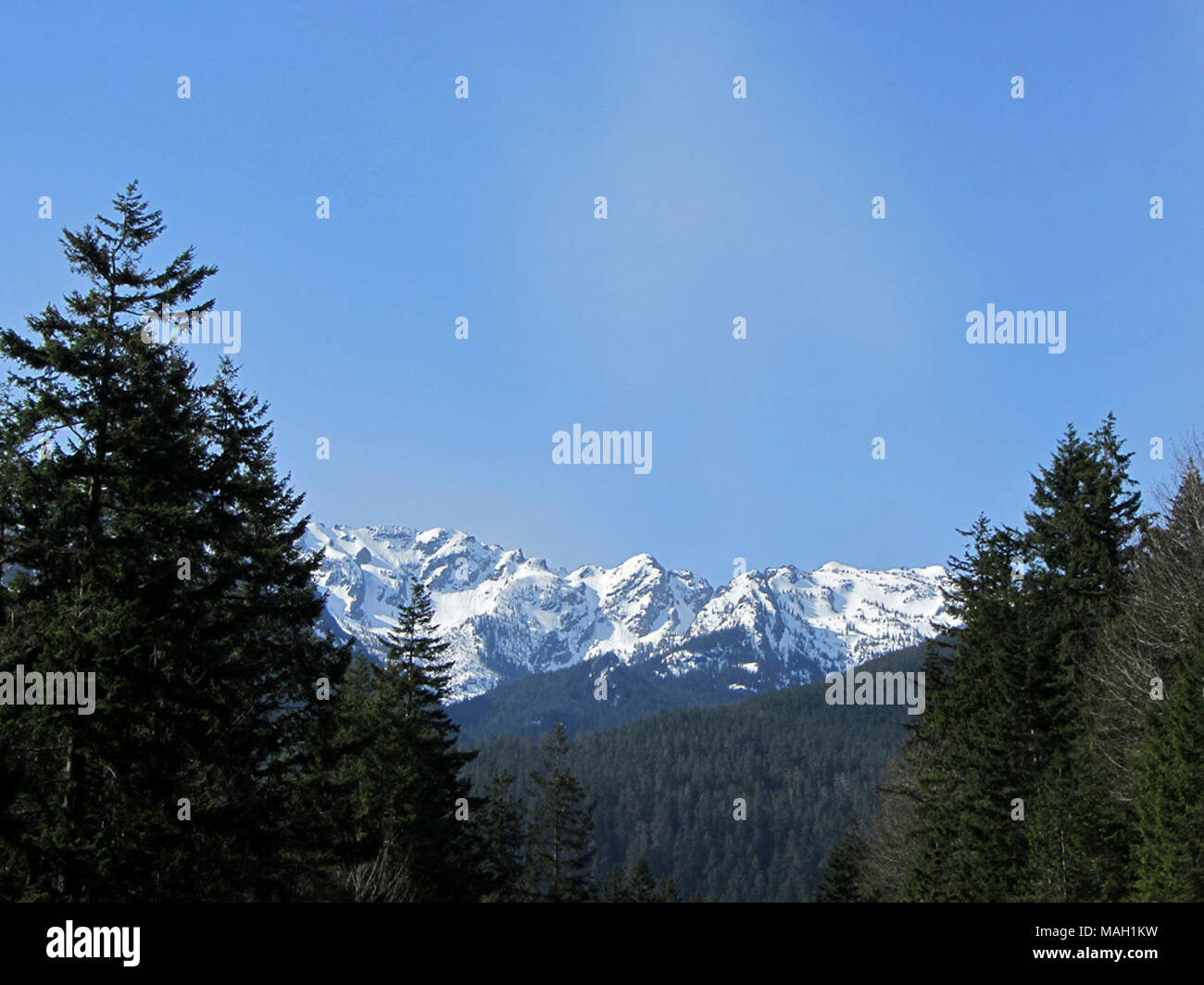 Hurricane Ridge at Olympic NP in WA Stock Photo - Alamy