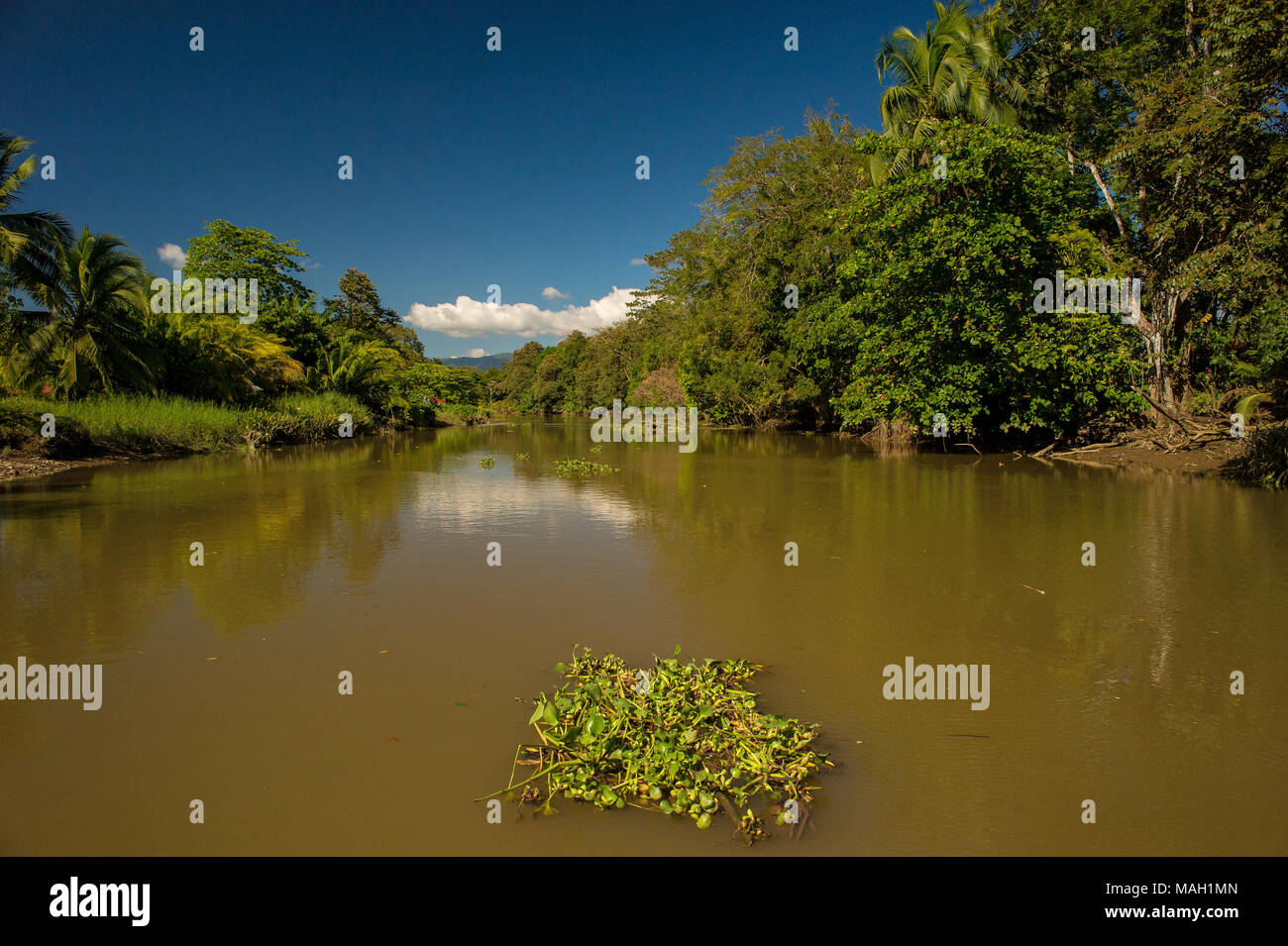 Sierpe River, Sierpe, Costa Rica, Centroamerica Stock Photo - Alamy