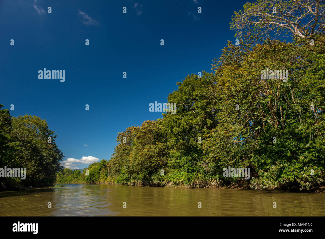 Sierpe River, Sierpe, Costa Rica, Centroamerica Stock Photo - Alamy