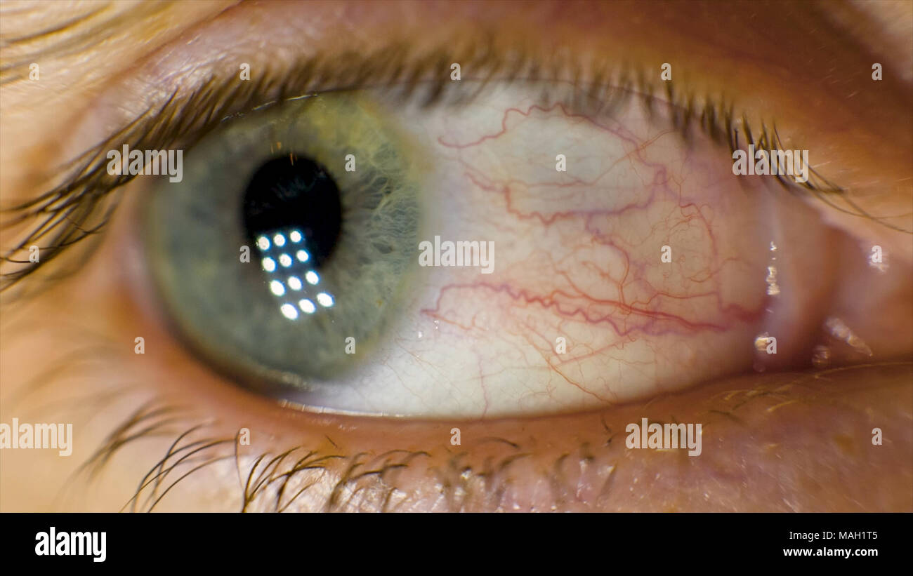 Macro of a beautiful eye. Video. Macro shot of a woman's eye. macro eye ...