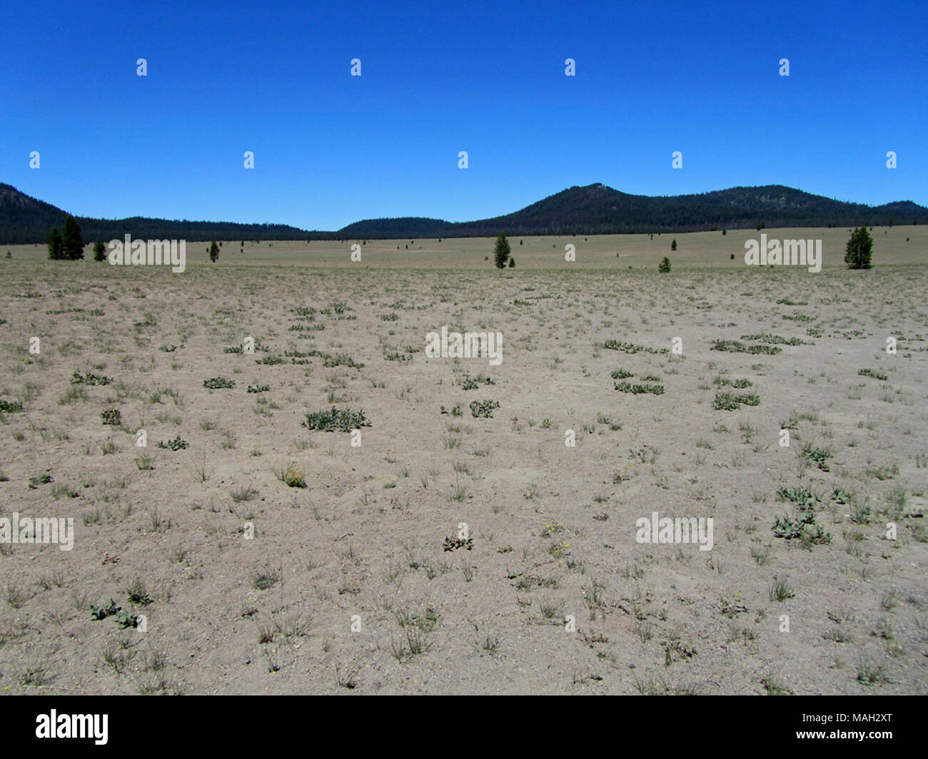 Pumice Desert at Crater Lake NP in OR Stock Photo - Alamy