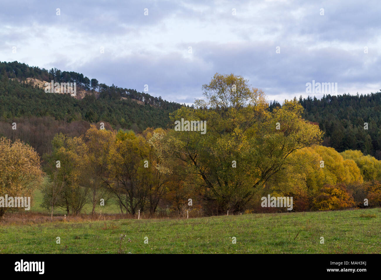 Blick auf den thuringer wald hi-res stock photography and images - Alamy