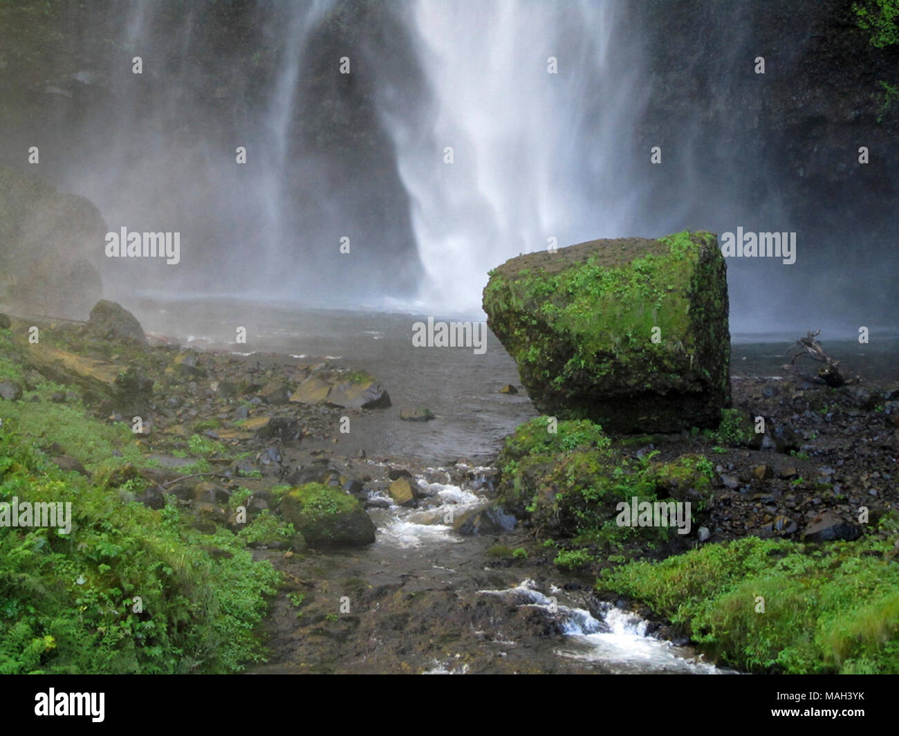 Multnomah falls wildlife hi-res stock photography and images - Alamy