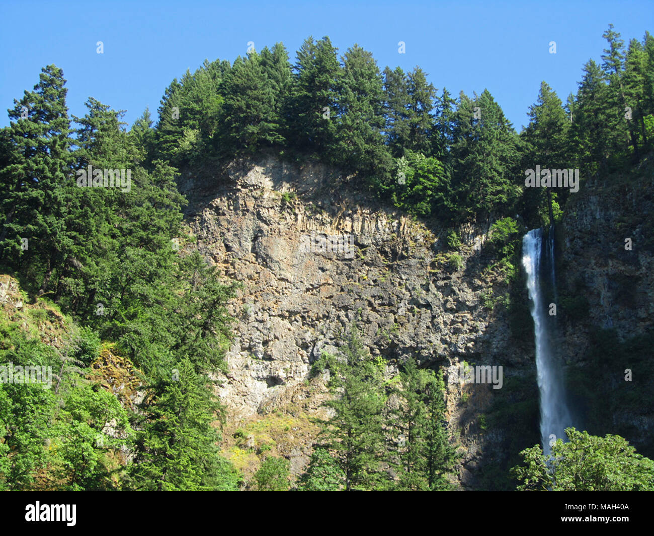 Multnomah falls wildlife hi-res stock photography and images - Alamy