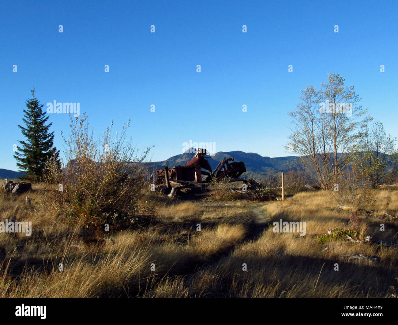 Coldwater Lake Loop Trail in WA Stock Photo - Alamy