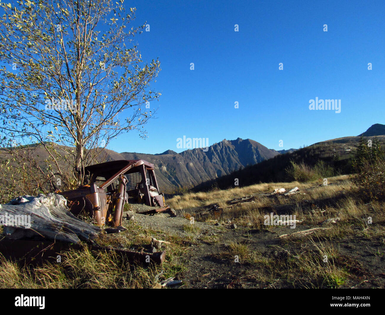 Coldwater Lake Loop Trail in WA Stock Photo - Alamy