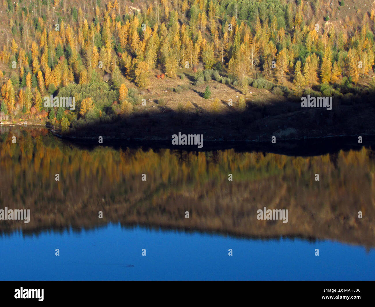 Coldwater Lake Loop Trail in WA Stock Photo - Alamy