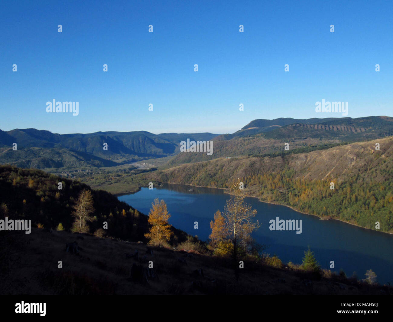 Coldwater Lake Loop Trail in WA Stock Photo - Alamy