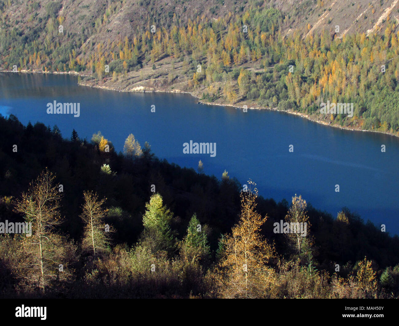 Coldwater Lake Loop Trail in WA Stock Photo - Alamy