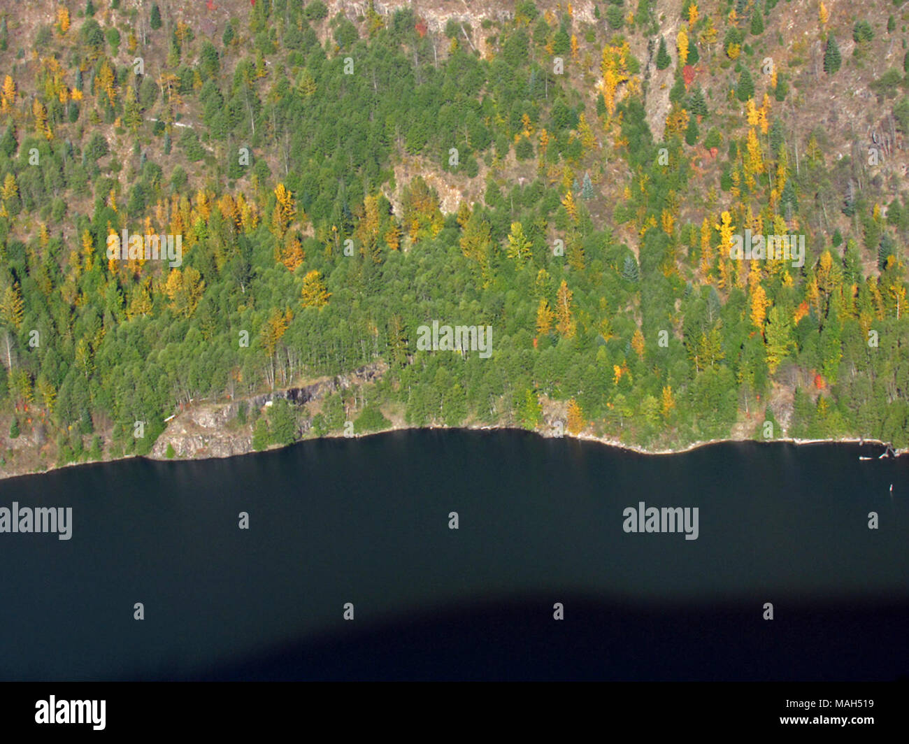 Coldwater Lake Loop Trail in WA Stock Photo - Alamy