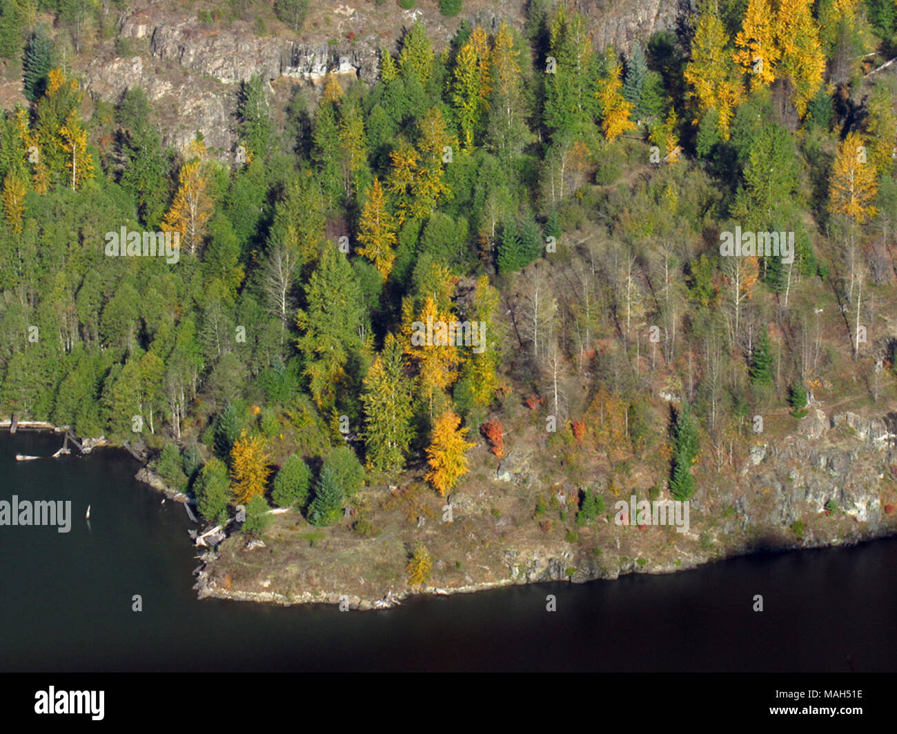 Coldwater Lake Loop Trail in WA Stock Photo - Alamy