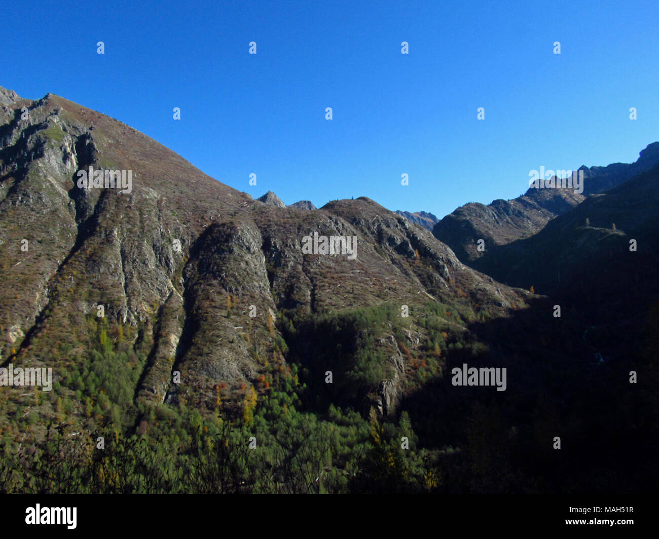 Coldwater Lake Loop Trail in WA Stock Photo - Alamy