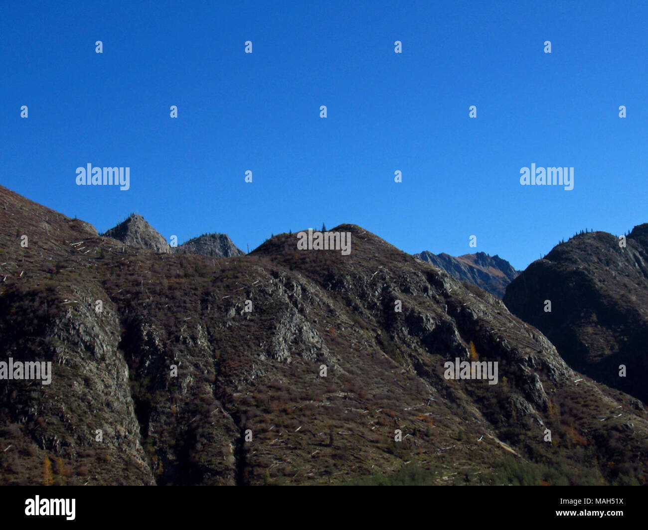 Coldwater Lake Loop Trail in WA Stock Photo - Alamy