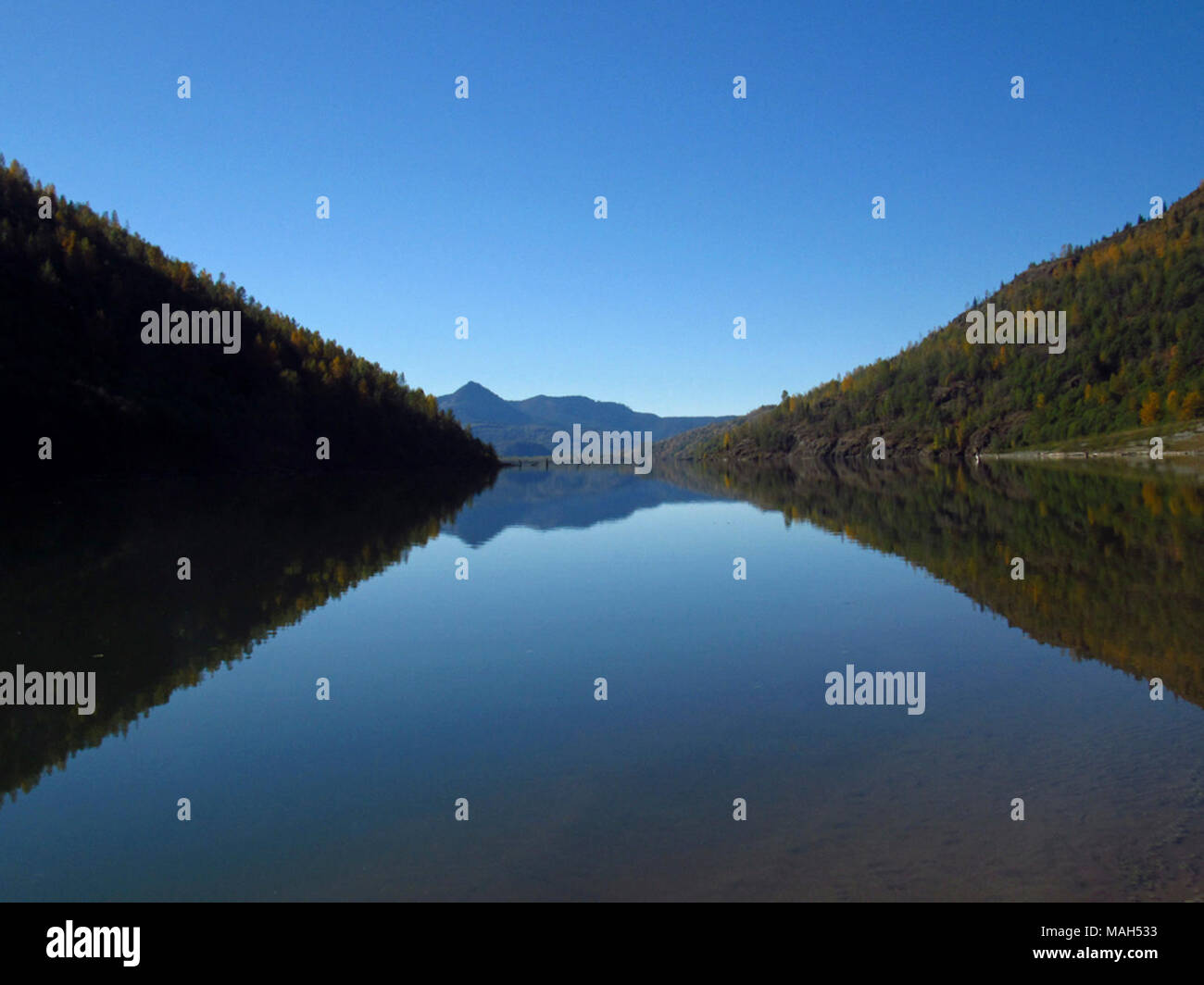 Coldwater Lake Loop Trail in WA Stock Photo - Alamy