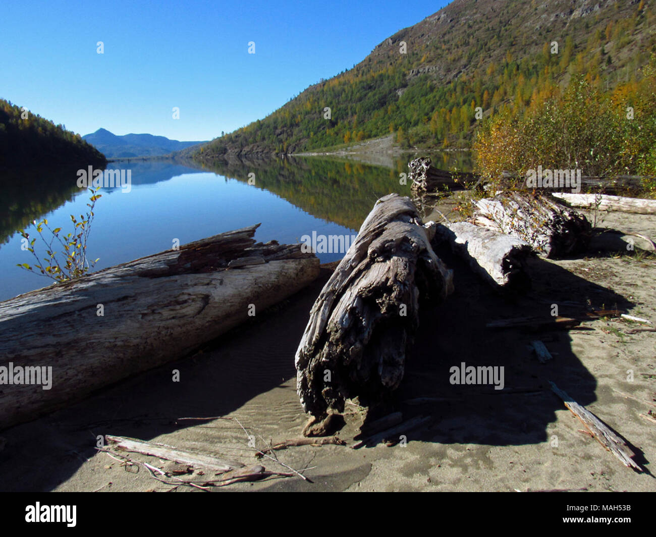Coldwater Lake Loop Trail in WA Stock Photo - Alamy