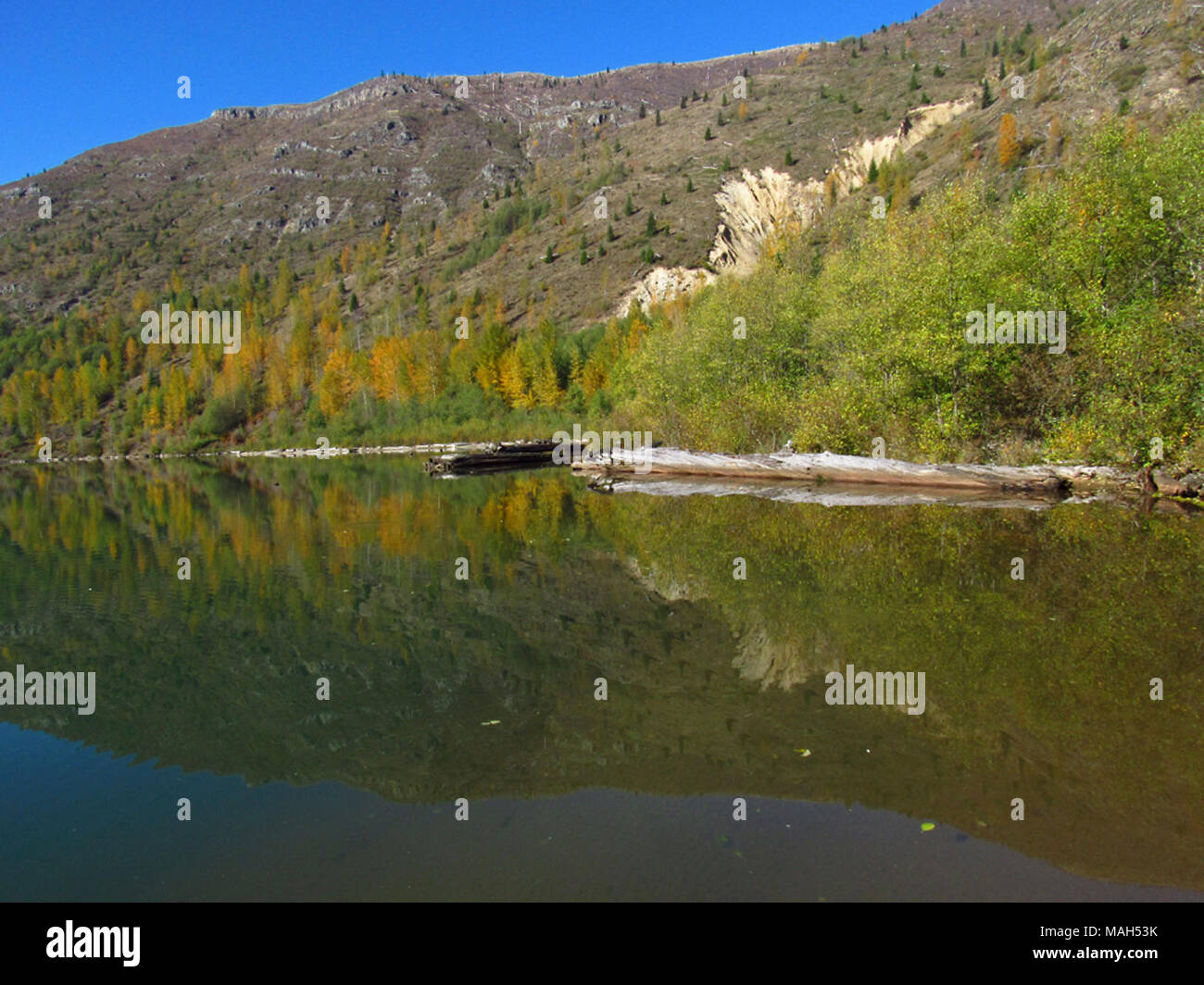 Coldwater Lake Loop Trail in WA Stock Photo - Alamy