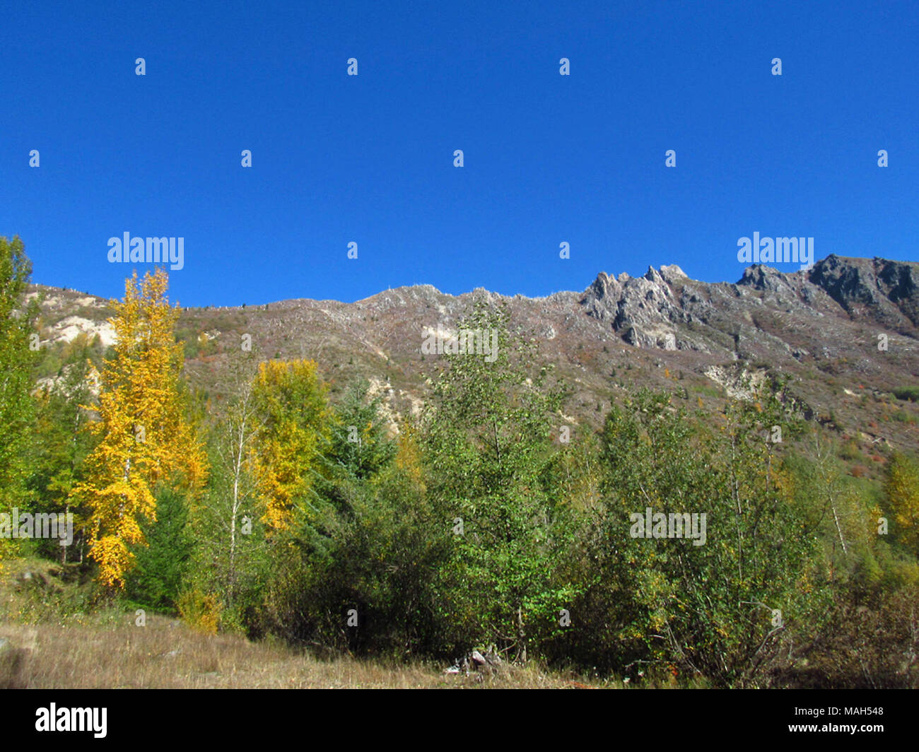 Coldwater Lake Loop Trail in WA Stock Photo - Alamy