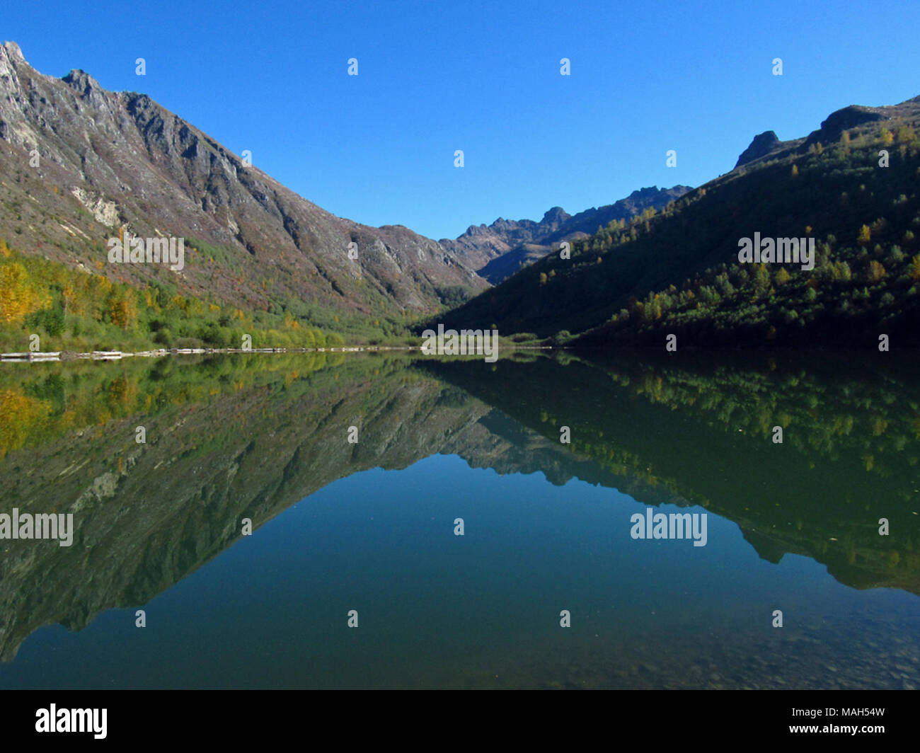 Coldwater Lake Loop Trail in WA Stock Photo - Alamy